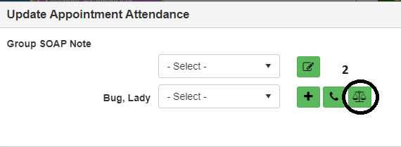 Show Copay and Outstanding Balance in Appointment