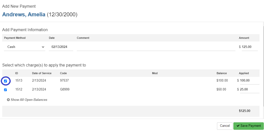 Add Patient Payment