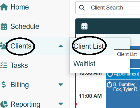 Uploading Files Into a Client's Record