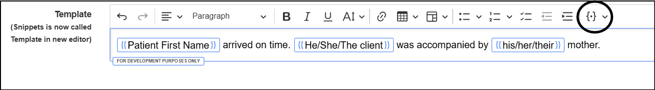 Snippets - Document Templates